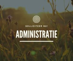 Stage - Dirksen Management Support B.V.