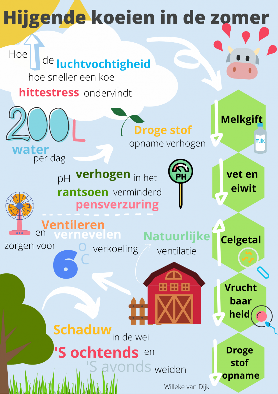 Hittestress bij melkvee - Dirksen Management Support B.V.